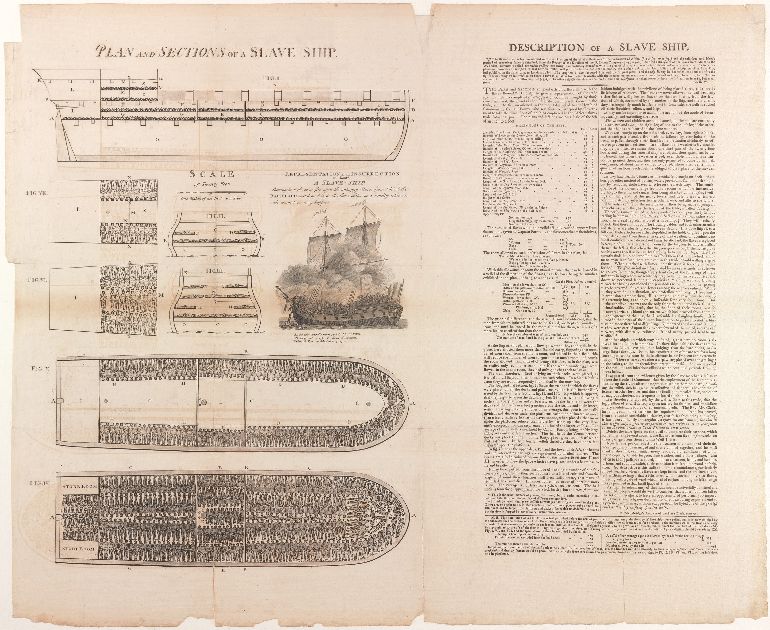 Plan and sections of a slave ship [graphic]. - Yale University Library
